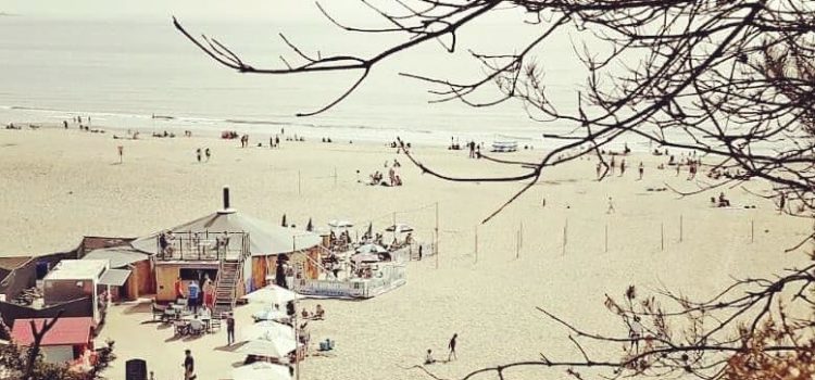 Offbeat Bars – Experts in any field